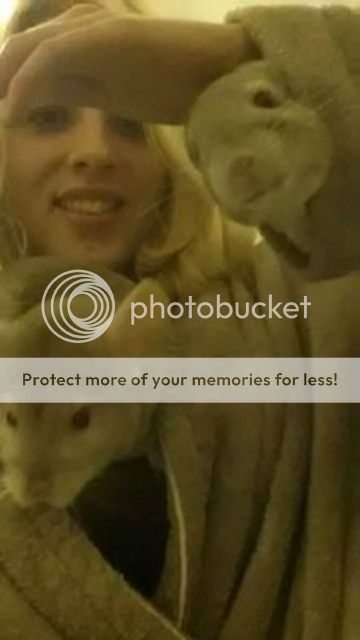 photobucket recent uploads > General Discussion > AR15.COM